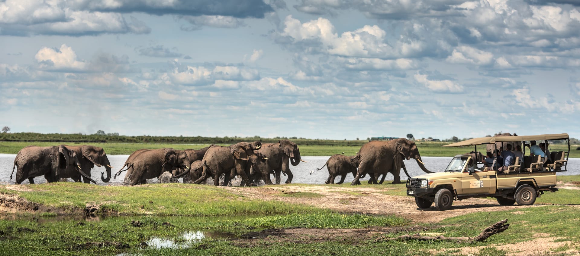 Chobe Full Day Trip | Experience the Best of Chobe